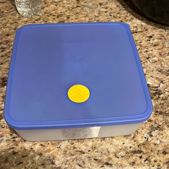 Tupperware | Kitchen | Vintage Tupperware Freeze Smart With Date Dial ...